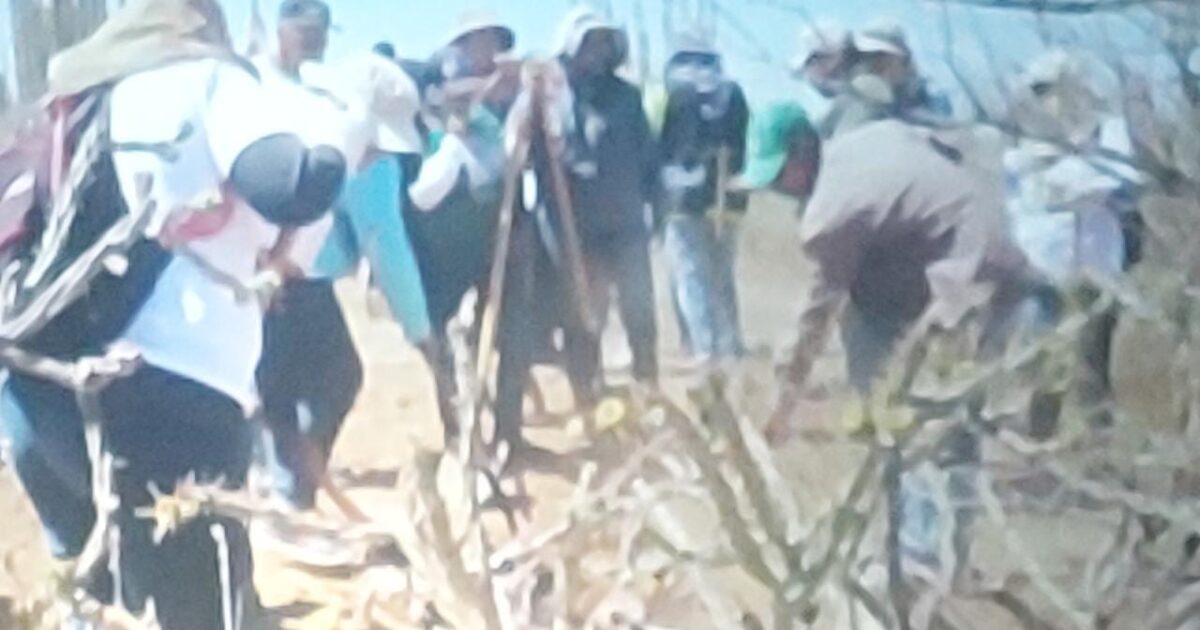 “Estamos caminando sobre muertos”: La cruda y terrible realidad de los ...