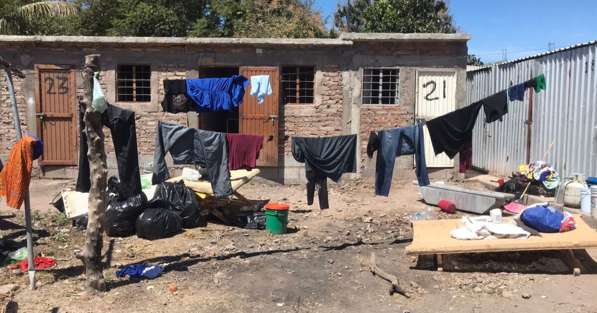 Hay cuarterías que son una envoltura de plástico; pedirán intervención ...
