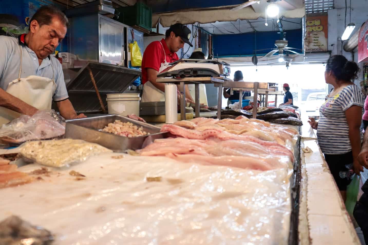 Hay poco abasto de pescado en mercados de Los Mochis; locatarios dicen ...