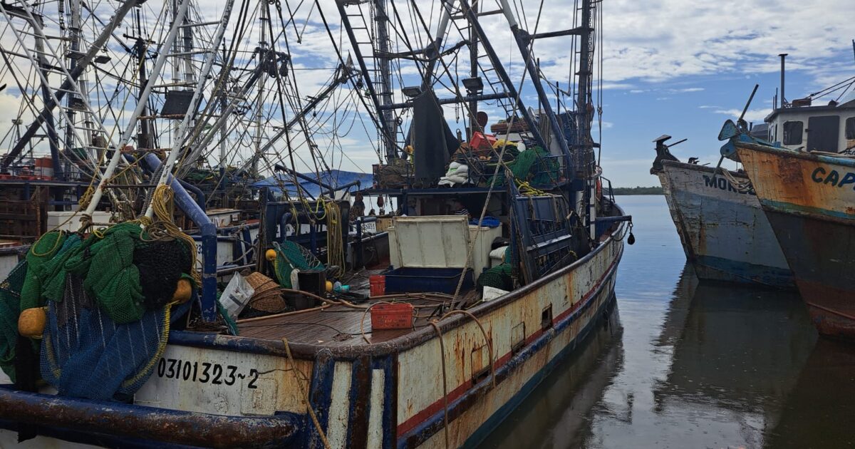 Pescadores ribereños piden levantar la veda del camarón antes del 15 de ...